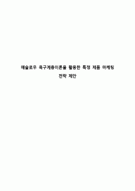 매슬로우 욕구계층이론을 활용한 특정 제품 마케팅 전략 제안-1페이지