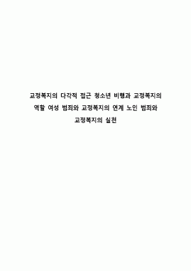 교정복지의 다각적 접근 청소년 비행과 교정복지의 역할 여성 범죄와 교정복지의 연계 노인 범죄와 교정복지의 실천-1페이지