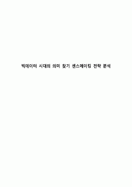 빅데이터 시대의 의미 찾기 센스메이킹 전략 분석-1페이지