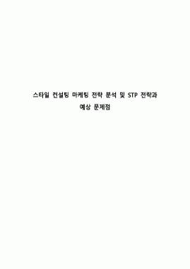 스타일 컨설팅 마케팅 전략 분석 및 STP 전략과 예상 문제점-1페이지