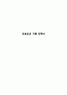 프로모션 기획 전략서-1페이지