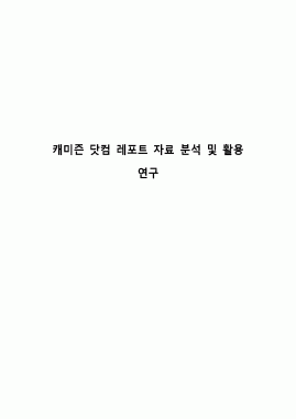 캐미즌 닷컴 레포트 자료 분석 및 활용 연구-1페이지