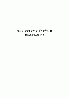 광고주 선행연구와 관계화 만족도 및 상호평가시스템 분석-1페이지