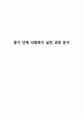 중기 단계 사회복지 실천 과정 분석-1페이지