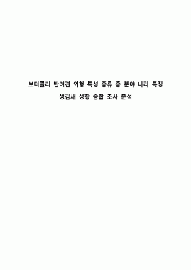 보더콜리 반려견 외형 특성 종류 종 분야 나라 특징 생김새 성향 종합 조사 분석-1페이지