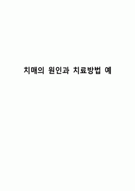 치매의 원인과 치료방법 예-1페이지