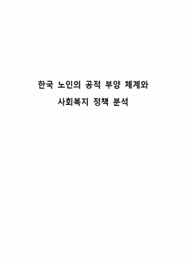 한국 노인의 공적 부양 체계와 사회복지 정책 분석-1페이지