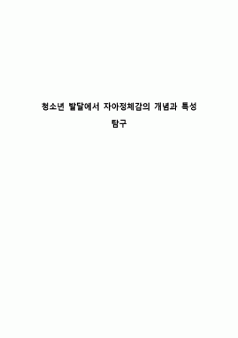 청소년 발달에서 자아정체감의 개념과 특성 탐구-1페이지