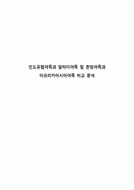 인도유럽어족과 알타이어족 및 한장어족과 아프리카아시아어족 비교 분석-1페이지