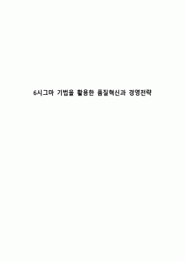 6시그마 기법을 활용한 품질혁신과 경영전략-1페이지