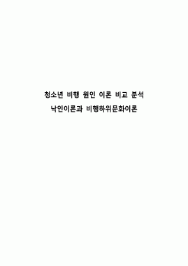 청소년 비행 원인 이론 비교 분석 낙인이론과 비행하위문화이론-1페이지