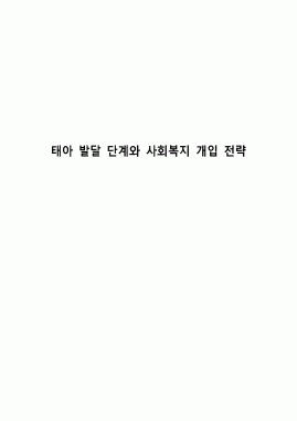 태아 발달 단계와 사회복지 개입 전략-1페이지