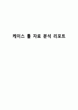 케이스 툴 자료 분석 리포트-1페이지