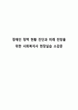 장애인 정책 현황 진단과 미래 전망을 위한 사회복지사 현장실습 소감문-1페이지