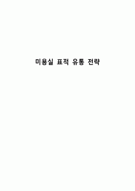 미용실 표적 유통 전략-1페이지