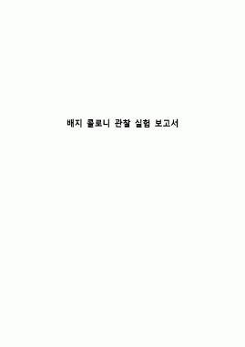 배지 콜로니 관찰 실험 보고서-1페이지