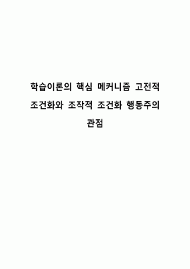 학습이론의 핵심 메커니즘 고전적 조건화와 조작적 조건화 행동주의 관점-1페이지
