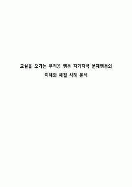 교실을 오가는 부적응 행동 자기자극 문제행동의 이해와 해결 사례 분석-1페이지