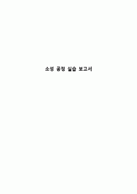 소성 공정 실습 보고서-1페이지