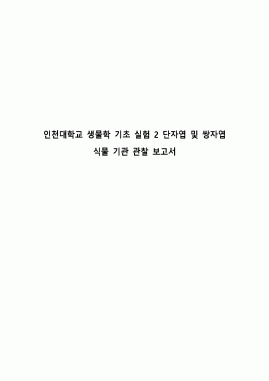 인천대학교 생물학 기초 실험 2 단자엽 및 쌍자엽 식물 기관 관찰 보고서-1페이지
