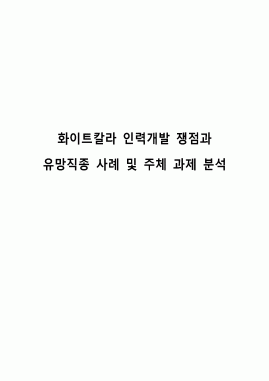 화이트칼라 인력개발 쟁점과 유망직종 사례 및 주체 과제 분석-1페이지