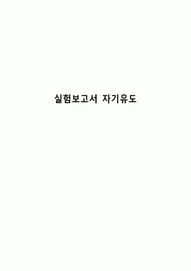 실험보고서 자기유도-1페이지