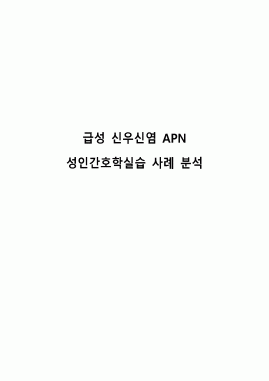 급성 신우신염 APN 성인간호학실습 사례 분석-1페이지