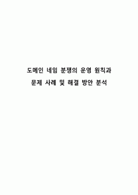 도메인 네임 분쟁의 운영 원칙과 문제 사례 및 해결 방안 분석-1페이지