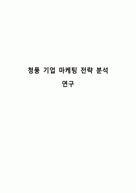 청풍 기업 마케팅 전략 분석 연구-1페이지