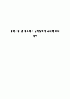 중복소송 및 중복제소 금지원칙의 국제적 확대 시도-1페이지