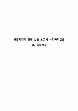 브솔시냇가 현장 실습 보고서 사회복지실습 평가우수자료-1페이지