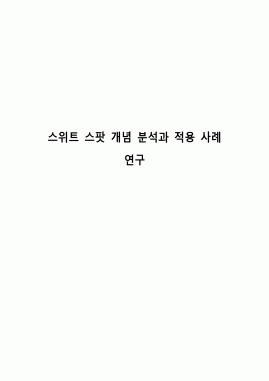 스위트 스팟 개념 분석과 적용 사례 연구-1페이지