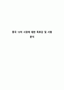 중국 13억 시장에 대한 독후감 및 서평 분석-1페이지