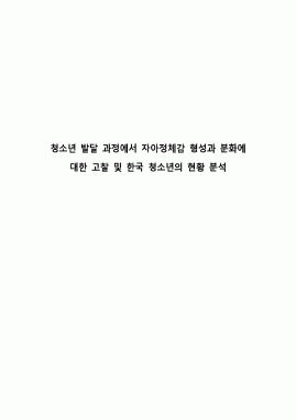 청소년 발달 과정에서 자아정체감 형성과 분화에 대한 고찰 및 한국 청소년의 현황 분석-1페이지