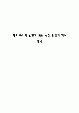 직류 타여자 발전기 특성 실험 전동기 제어 예비-1페이지