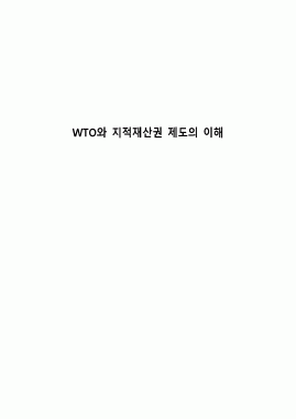 WTO와 지적재산권 제도의 이해-1페이지