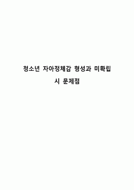 청소년 자아정체감 형성과 미확립 시 문제점-1페이지