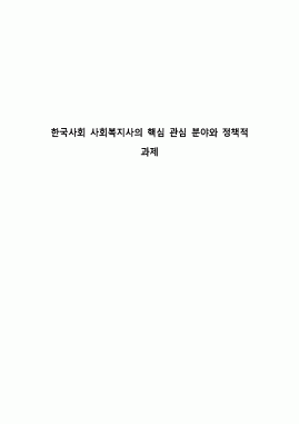 한국사회 사회복지사의 핵심 관심 분야와 정책적 과제-1페이지
