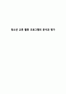 청소년 교류 활동 프로그램의 분석과 평가-1페이지