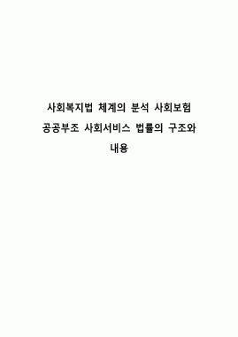 사회복지법 체계의 분석 사회보험 공공부조 사회서비스 법률의 구조와 내용-1페이지
