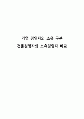 기업 경영자의 소유 구분 전문경영자와 소유경영자 비교-1페이지