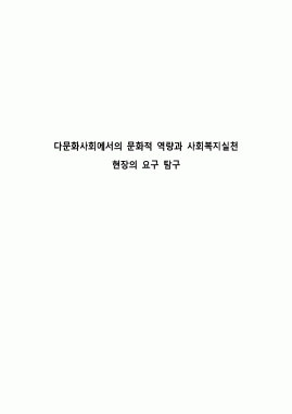 다문화사회에서의 문화적 역량과 사회복지실천 현장의 요구 탐구-1페이지