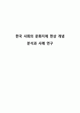 한국 사회의 문화지체 현상 개념 분석과 사례 연구-1페이지