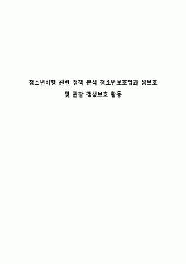 청소년비행 관련 정책 분석 청소년보호법과 성보호 및 관찰 갱생보호 활동-1페이지
