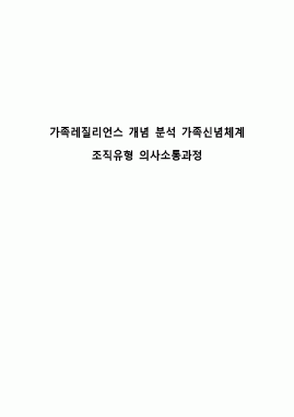 가족레질리언스 개념 분석 가족신념체계 조직유형 의사소통과정-1페이지