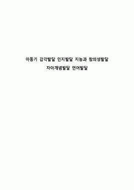 아동기 감각발달 인지발달 지능과 창의성발달 자아개념발달 언어발달-1페이지