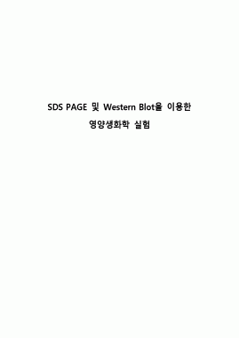 SDS PAGE 및 Western Blot을 이용한 영양생화학 실험-1페이지