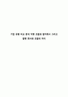 기업 유형 비교 분석 익명 조합과 합자회사 그리고 합명 회사와 조합의 차이-1페이지
