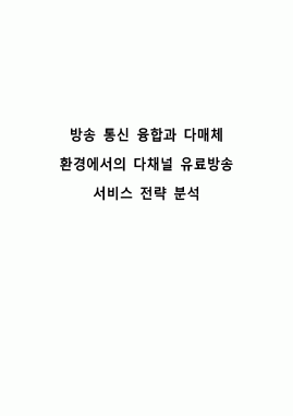 방송 통신 융합과 다매체 환경에서의 다채널 유료방송 서비스 전략 분석-1페이지