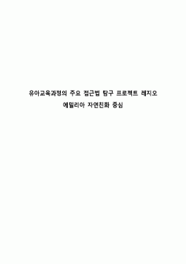 유아교육과정의 주요 접근법 탐구 프로젝트 레지오 에밀리아 자연친화 중심-1페이지
